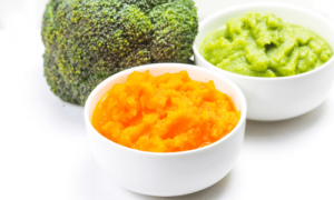 Pureed Food for Adults [Homemade & Premade] - The Geriatric Dietitian