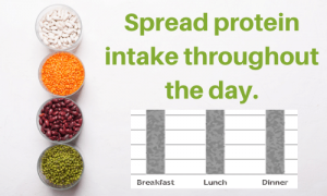 Protein Requirements for Older Adults - The Geriatric Dietitian