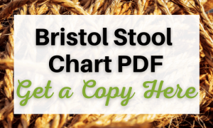 Snag Your Bristol Stool Chart PDF [Free Download] - The Geriatric Dietitian