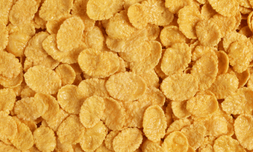 15 Best Iron Rich Foods for Elderly - The Geriatric Dietitian