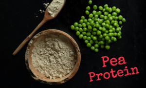 Whey Protein vs Pea Protein: What’s the Difference - The Geriatric ...