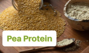 Whey Protein vs Pea Protein: What’s the Difference - The Geriatric ...
