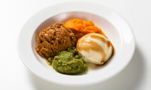 Pureed Food for Adults [Homemade & Premade] - The Geriatric Dietitian