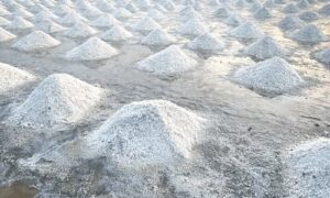 Rock Salt vs Sea Salt: What's the Difference? - The Geriatric Dietitian