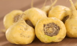 Maca Root Powder for Weight Gain: Does it Work? - The Geriatric Dietitian