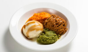 High Calorie Pureed Foods - The Geriatric Dietitian