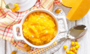 High Calorie Pureed Foods - The Geriatric Dietitian