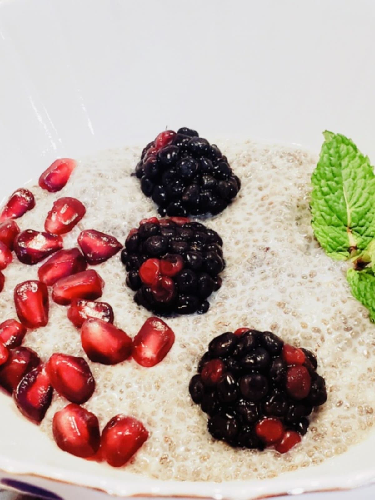 31 Healthy Protein Powder Recipes Dietitian Approved The Geriatric